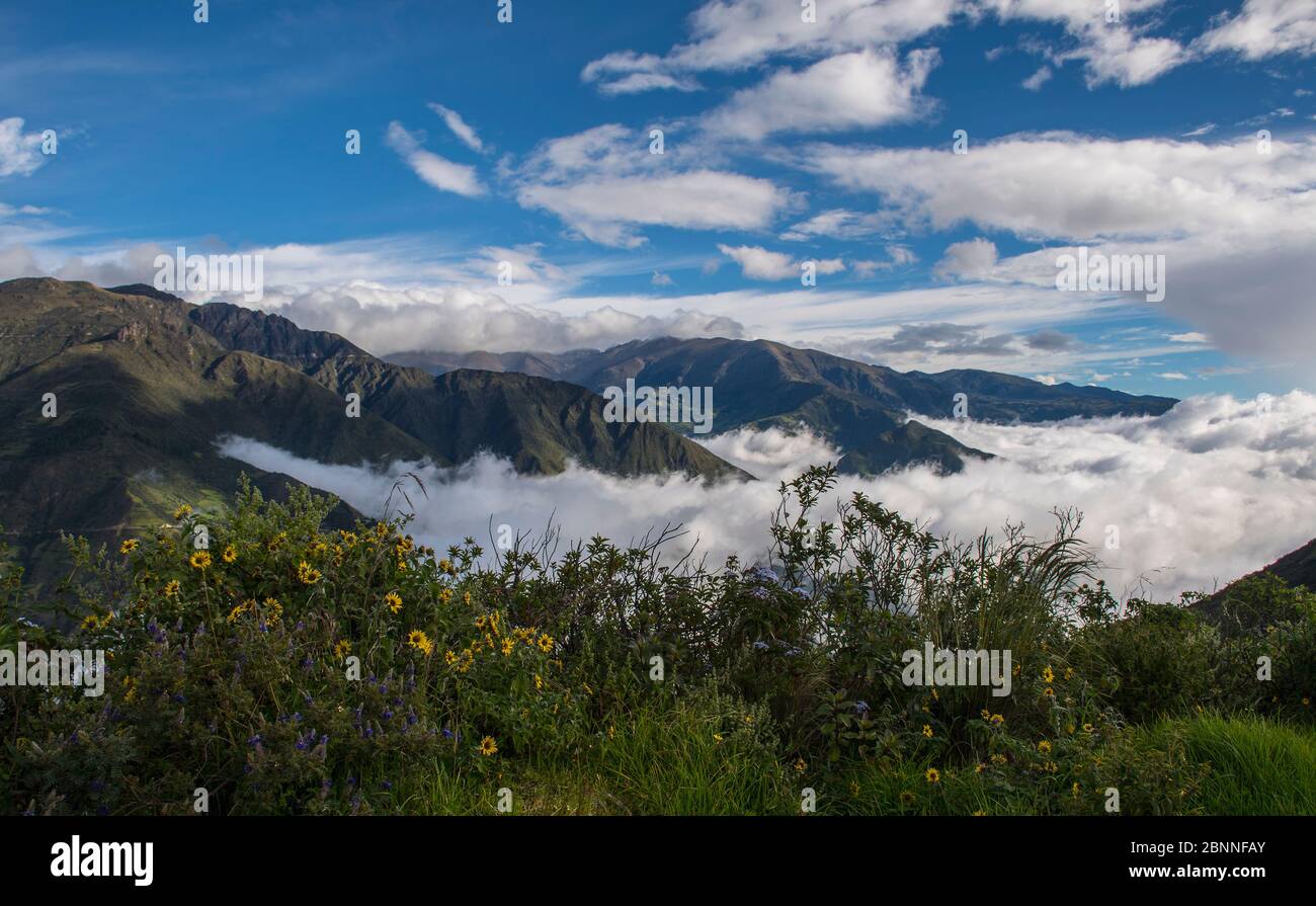 Clouds forming in a valley close to Cotopaxi, Bellavista, Ecuador Stock ...