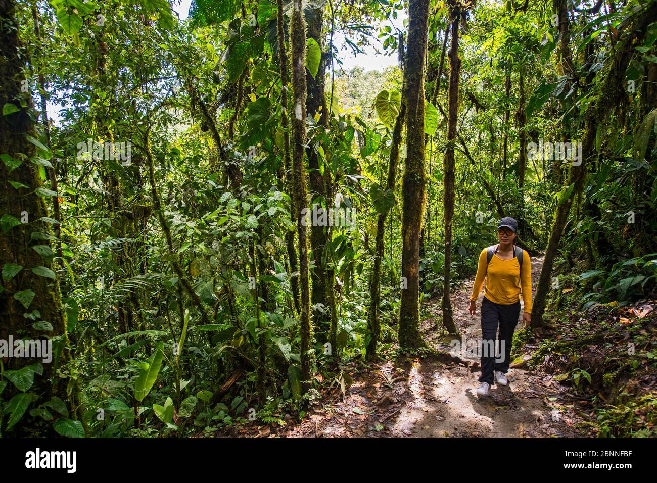 Ecuador mindo women hi-res stock photography and images - Alamy