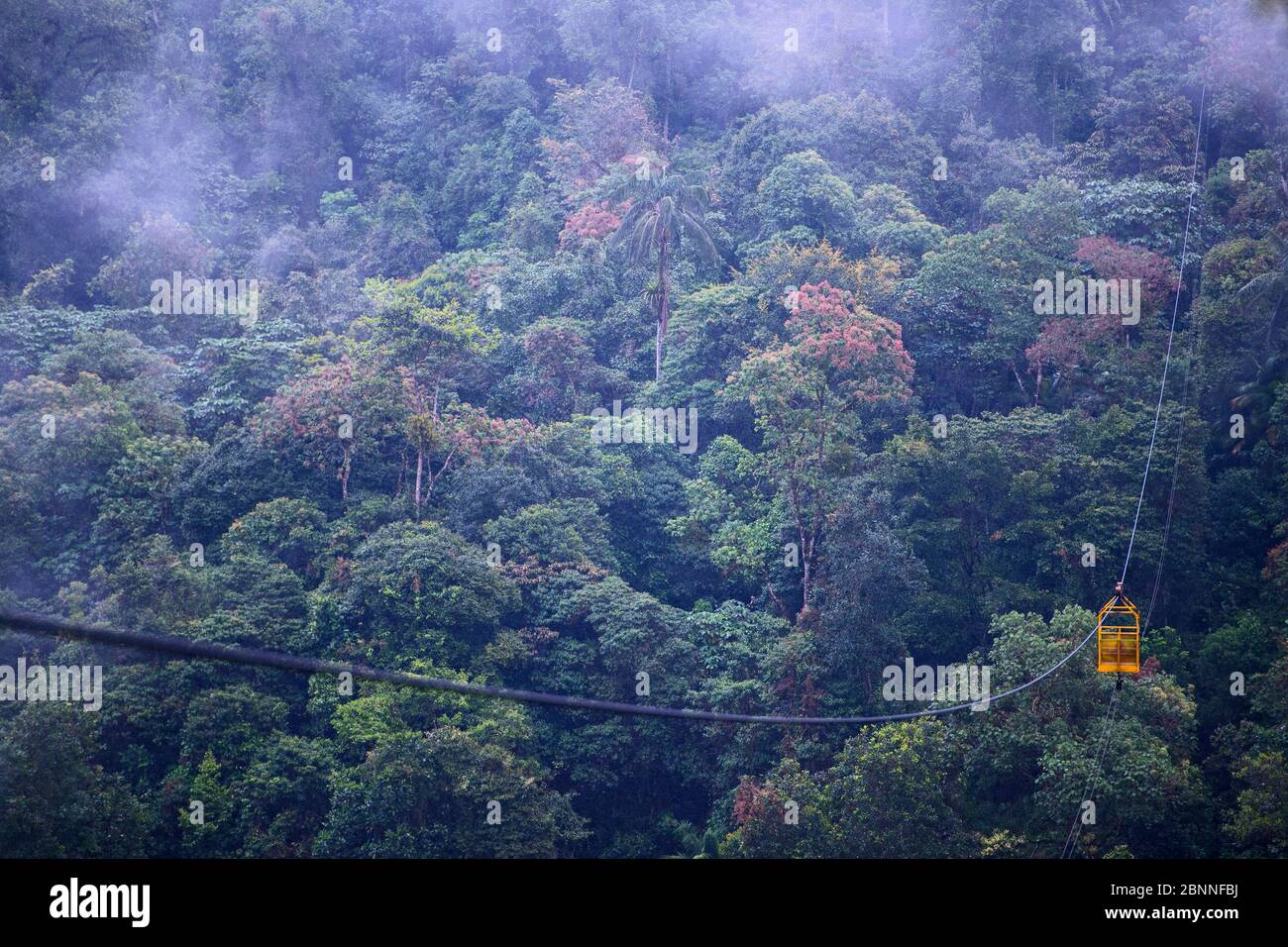 Cable car at the rainforest in Mindo, close to the equator, Ecuador ...