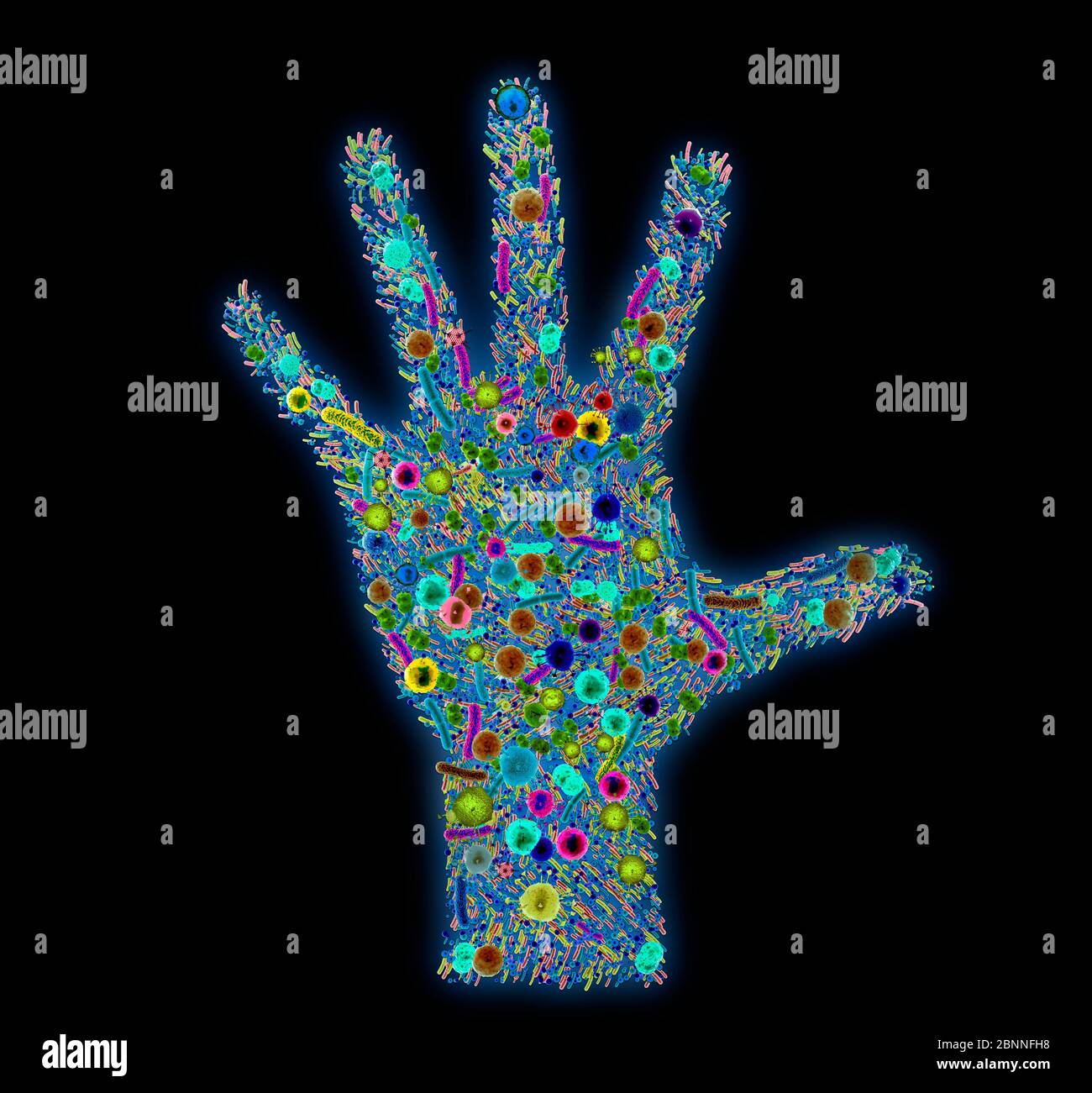 Various bacteria and pathogens on a human hand, the microbiota of the ...
