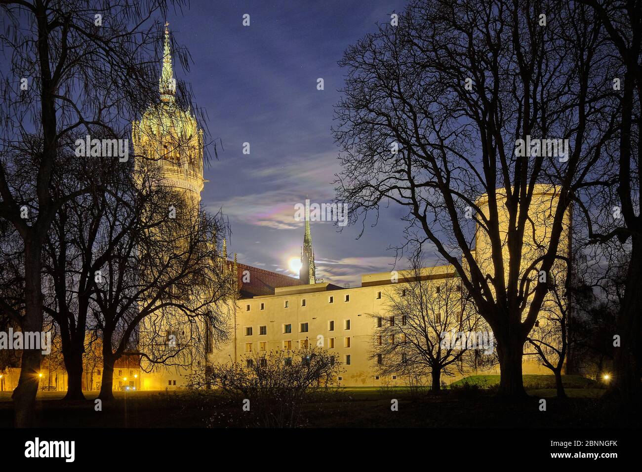 Wittenberg castle church hi-res stock photography and images - Alamy