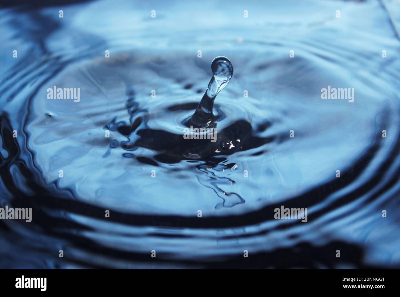 Beautiful splash of water drop on water surface - Droplet Photography ...