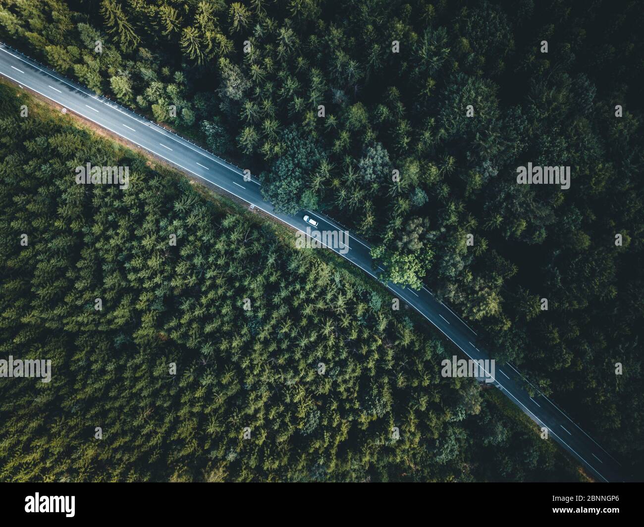 Drone shot of forest hi-res stock photography and images - Alamy