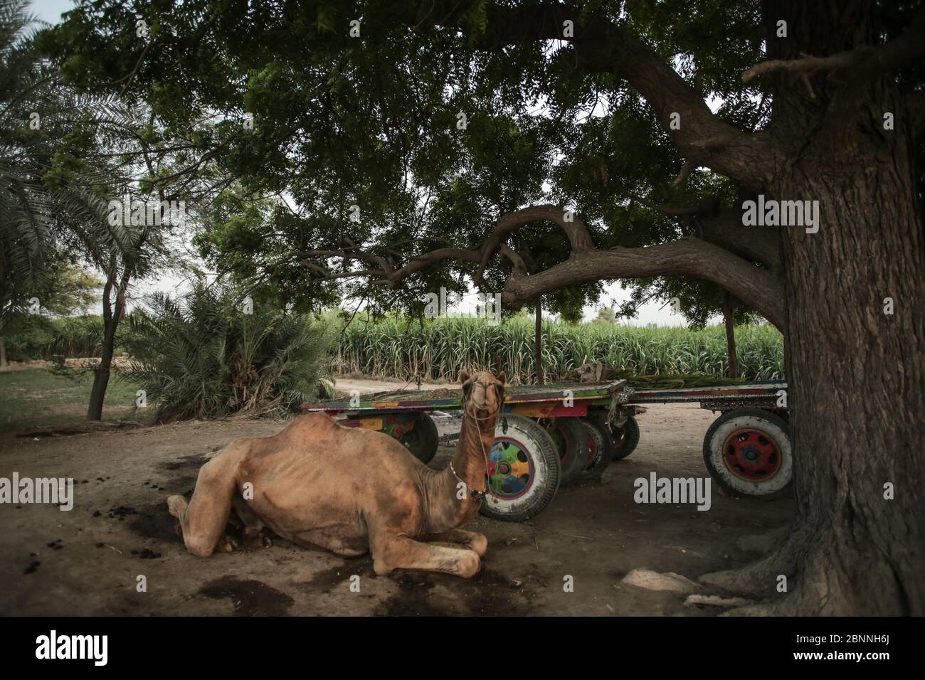 Pakistan outline hi-res stock photography and images - Alamy