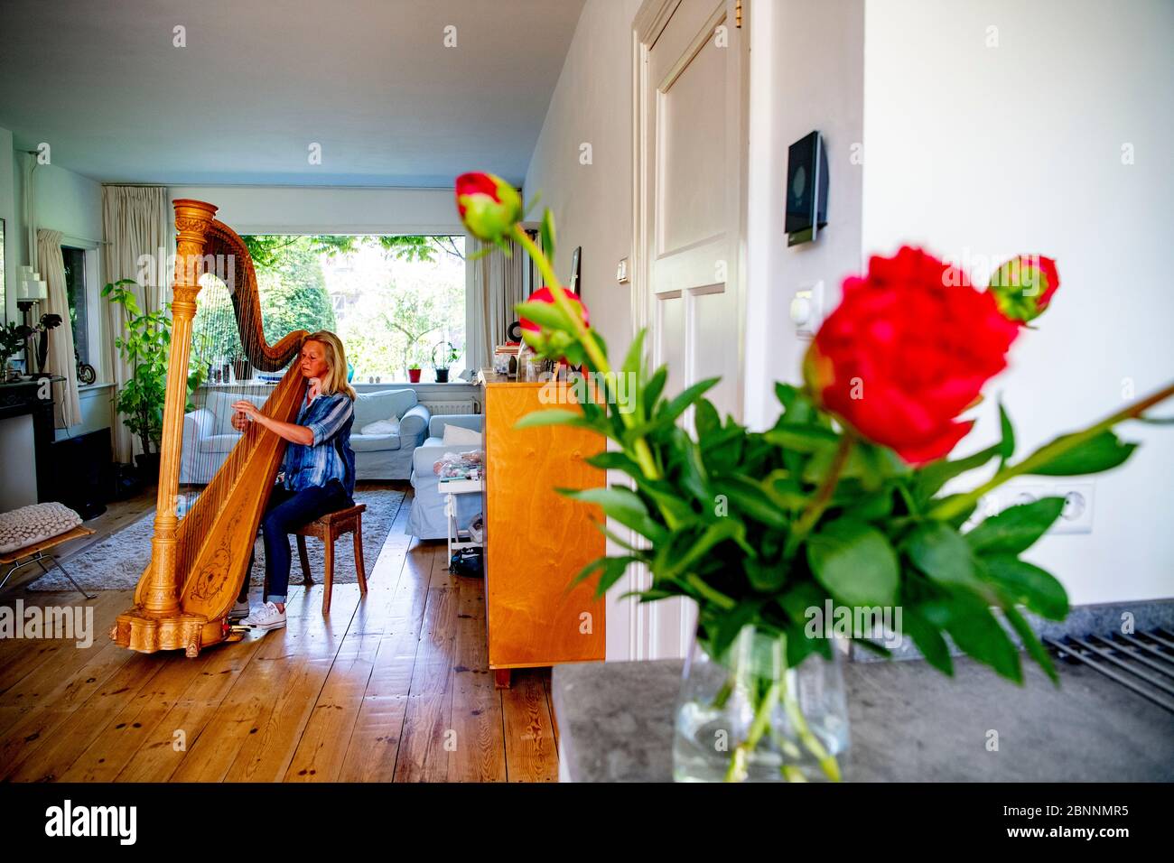 Harpist, Charlotte Sprenkels from the Rotterdam Philharmonic Orchestra ...