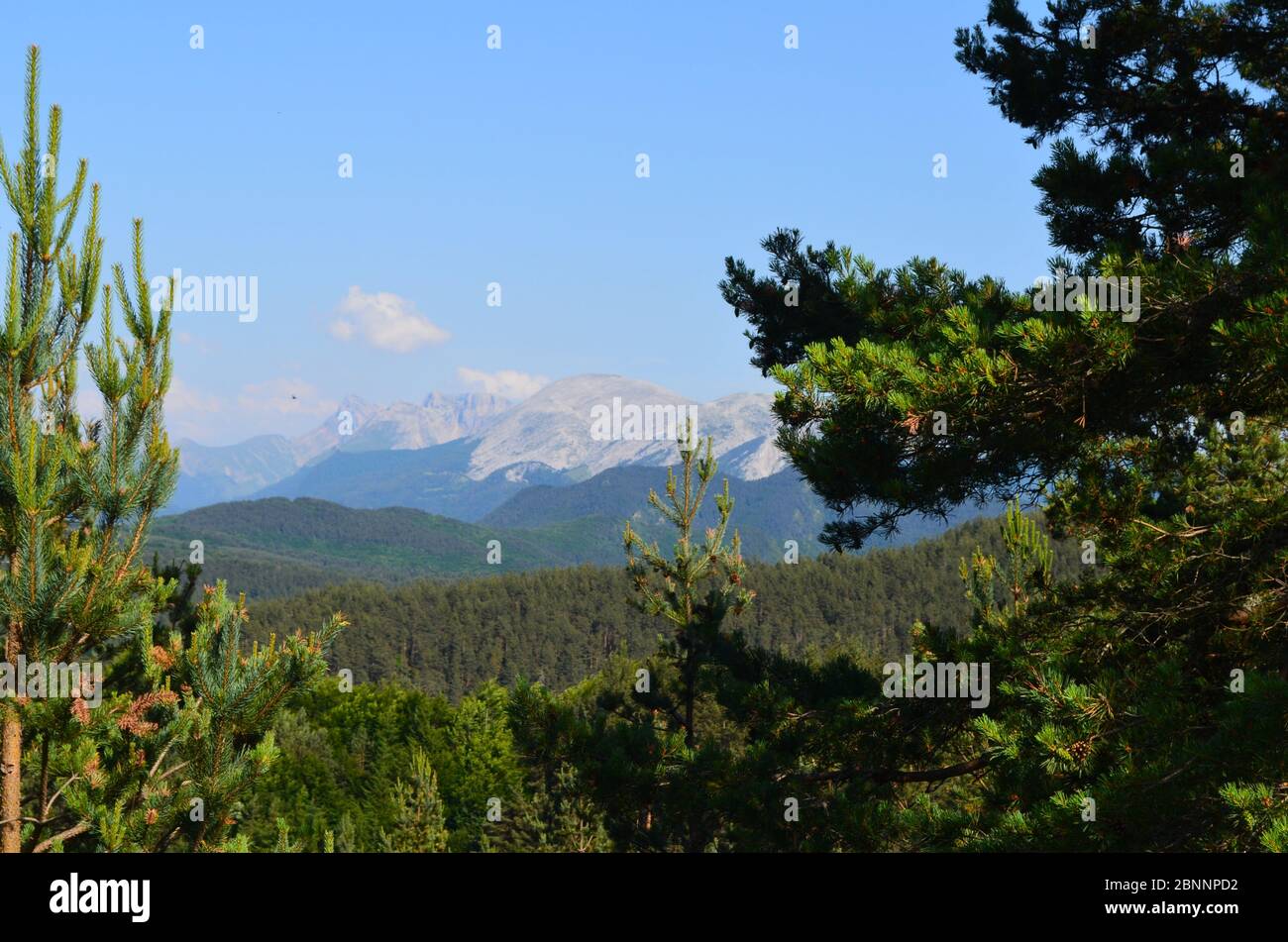 The Roncal valley in northern Navarre, Pyrenees range Stock Photo - Alamy