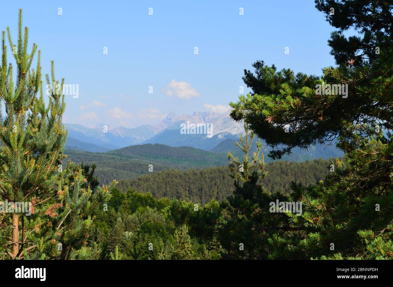 The Roncal valley in northern Navarre, Pyrenees range Stock Photo - Alamy