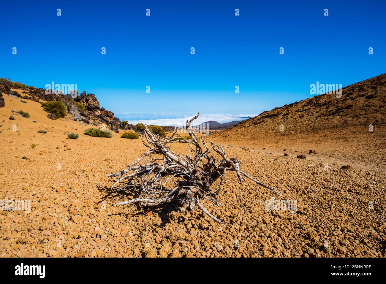 Tenerife National Park, World Natural Heritage, Tenerife, Canary ...