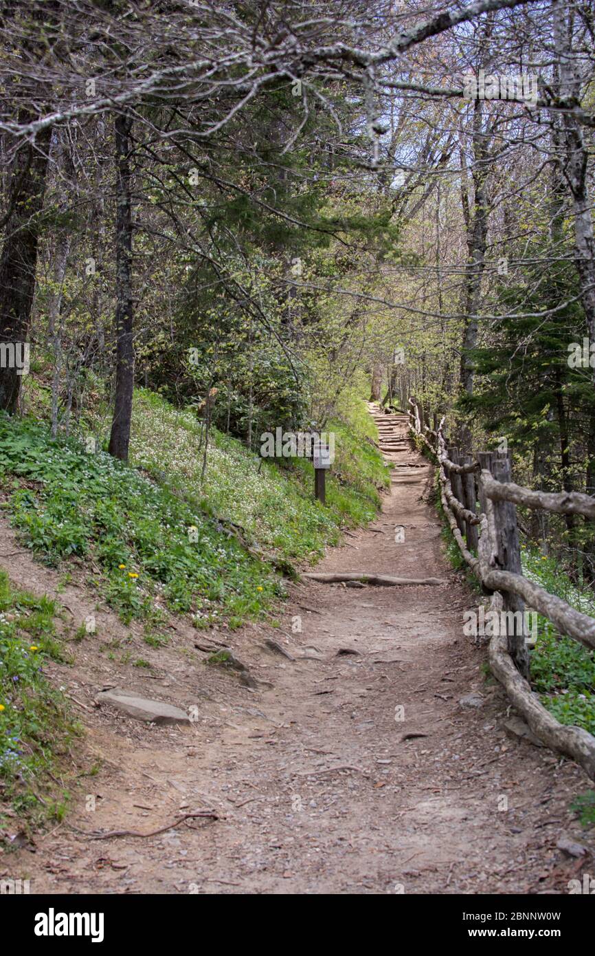 Newfound Gap, in the Great Smoky Mountain National Park, is a mountain ...
