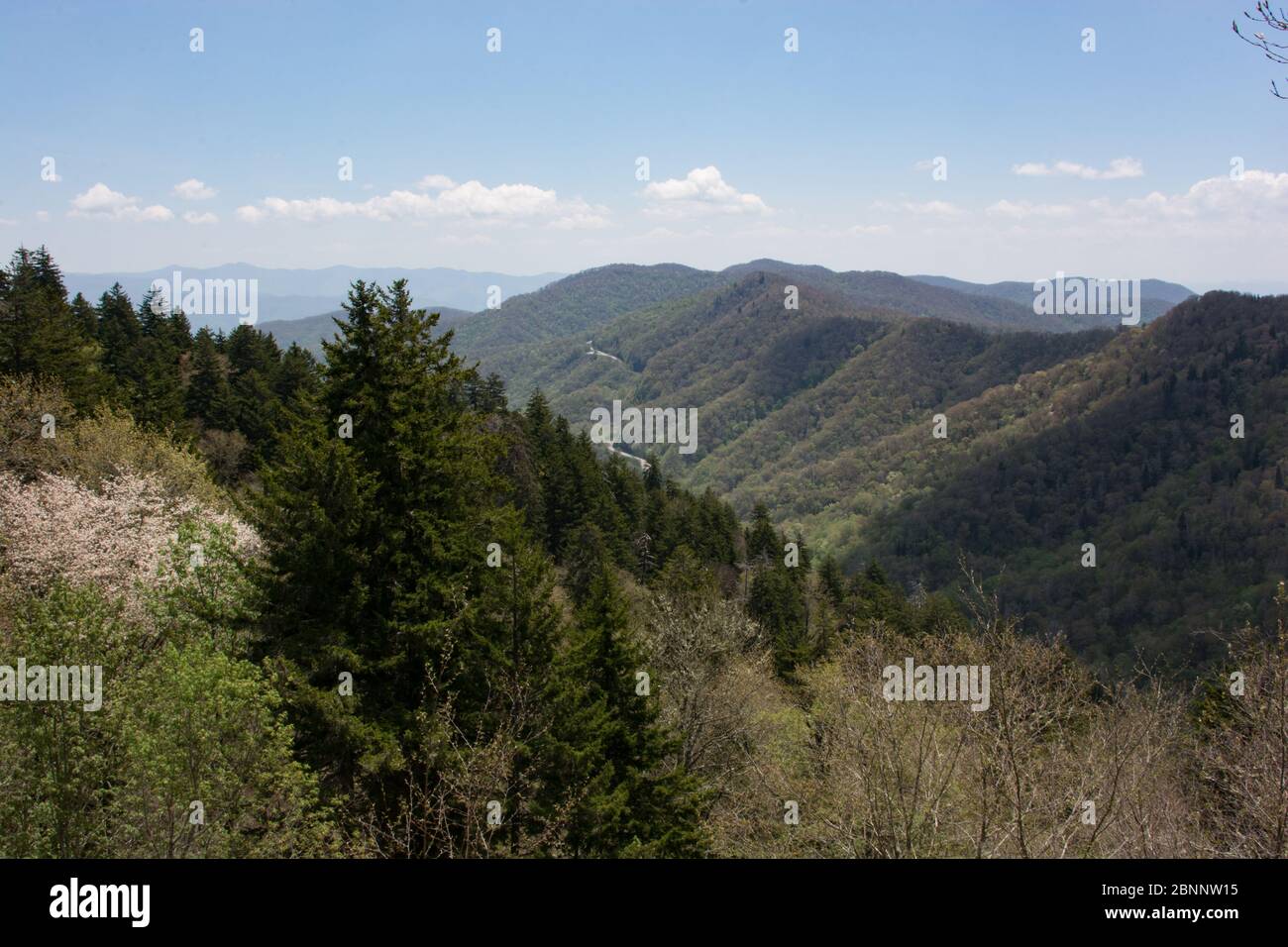 Newfound Gap, in the Great Smoky Mountain National Park, is a mountain pass with amazing scenic ...
