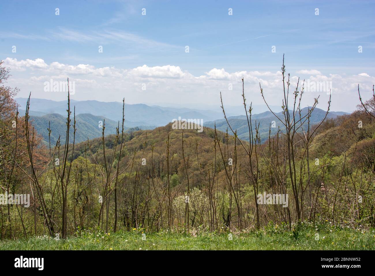 Newfound Gap, in the Great Smoky Mountain National Park, is a mountain ...