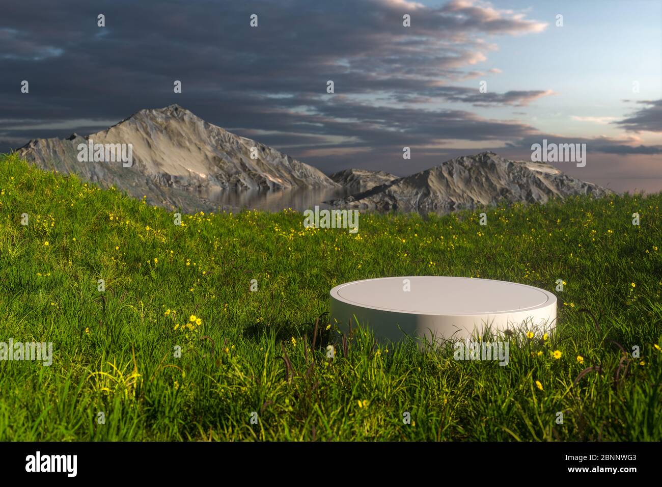 Empty platform in the grass field, 3d rendering. Computer digital ...