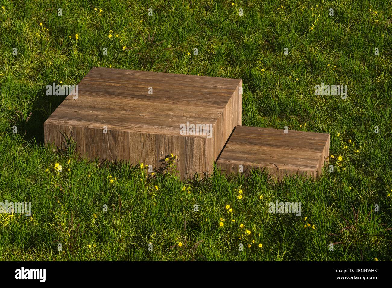 Empty platform in the grass field, 3d rendering. Computer digital ...