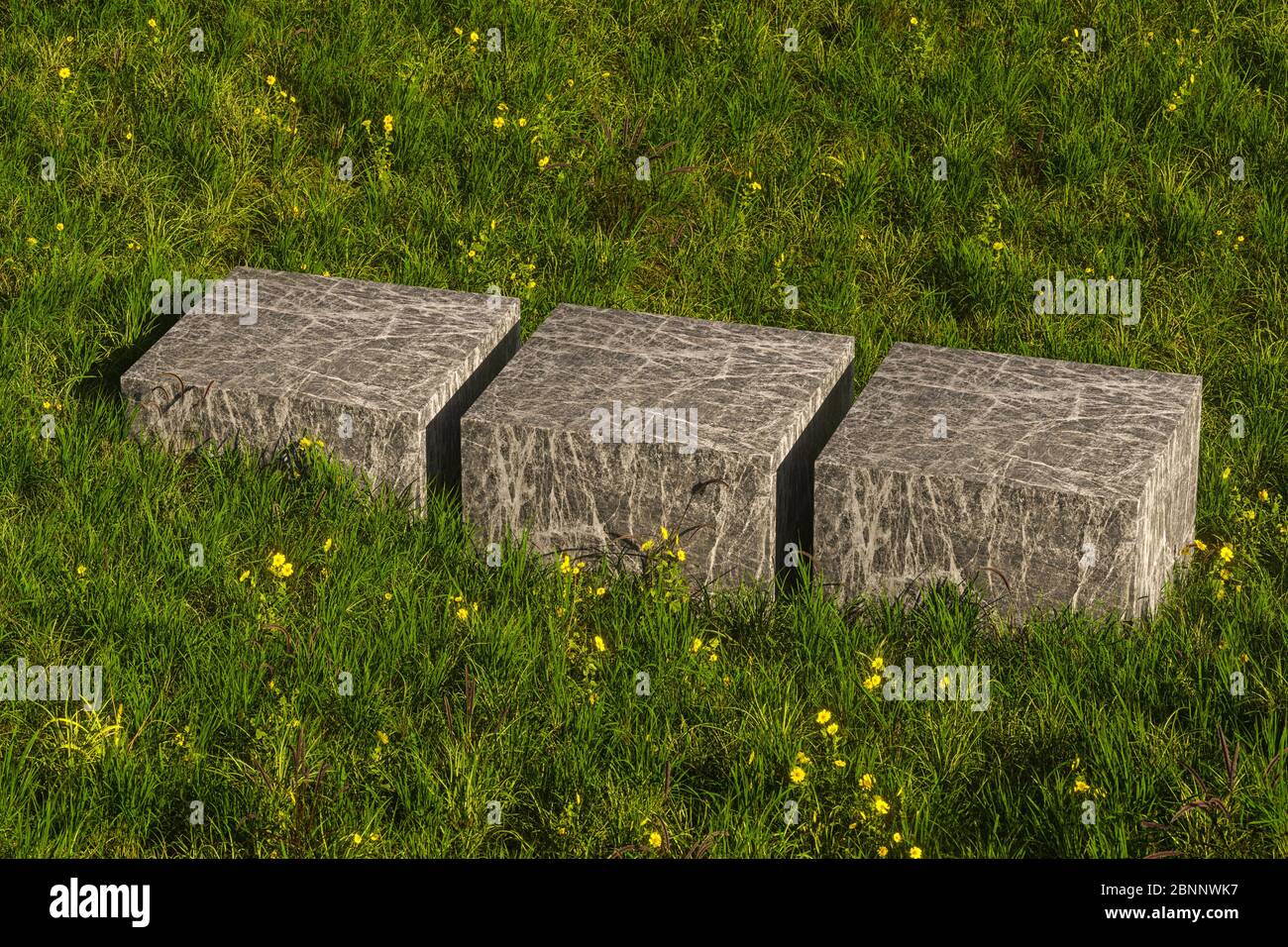 Empty platform in the grass field, 3d rendering. Computer digital ...