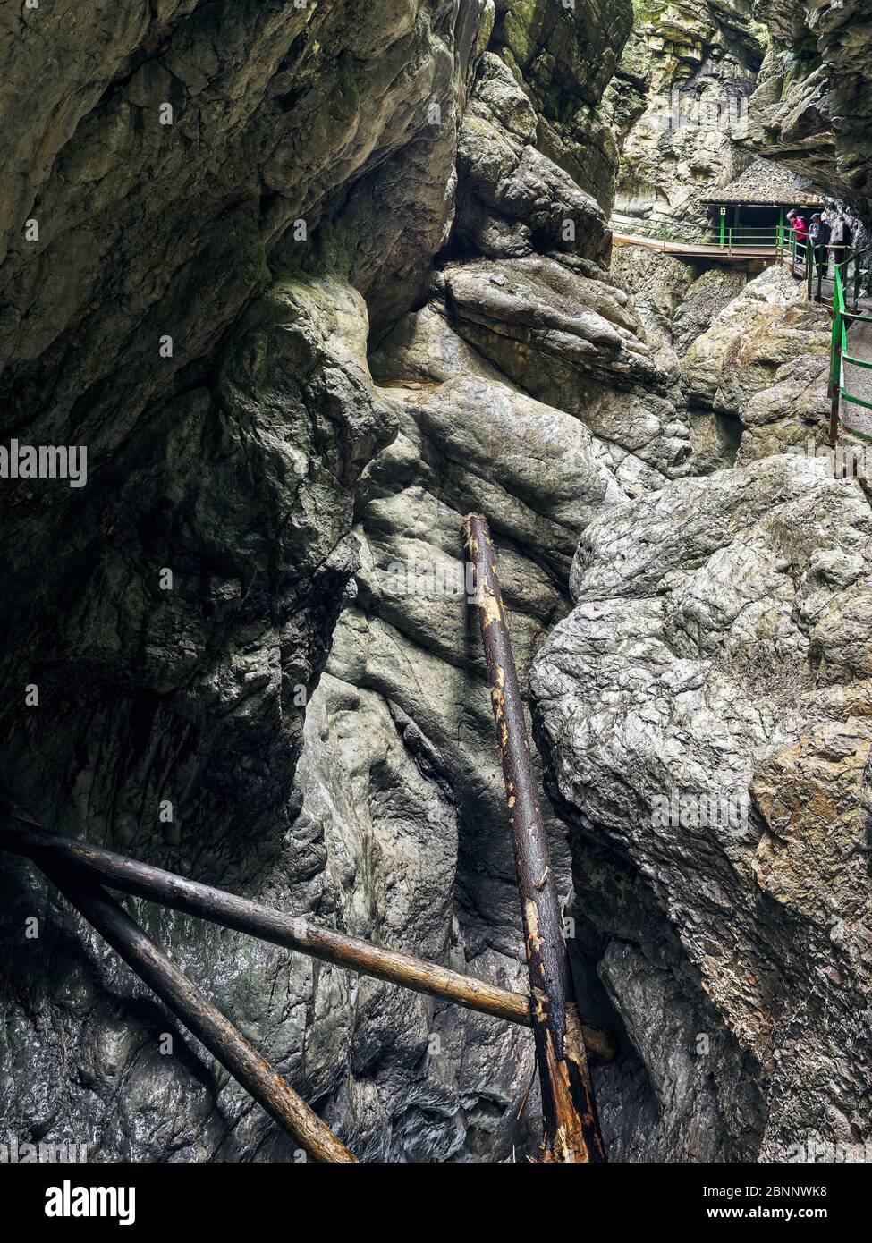 Gorge, canyon, river, water, current, tree trunks, rocks Stock Photo ...