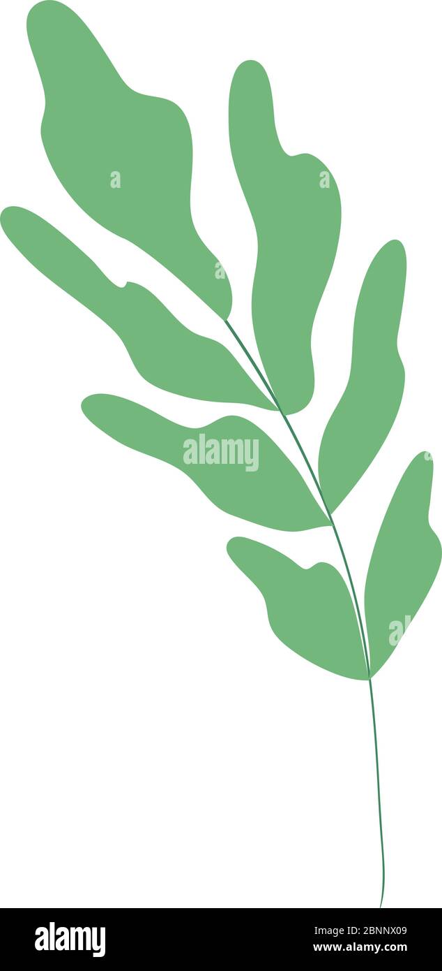 Isolated natural leaf vector design Stock Vector Image & Art - Alamy