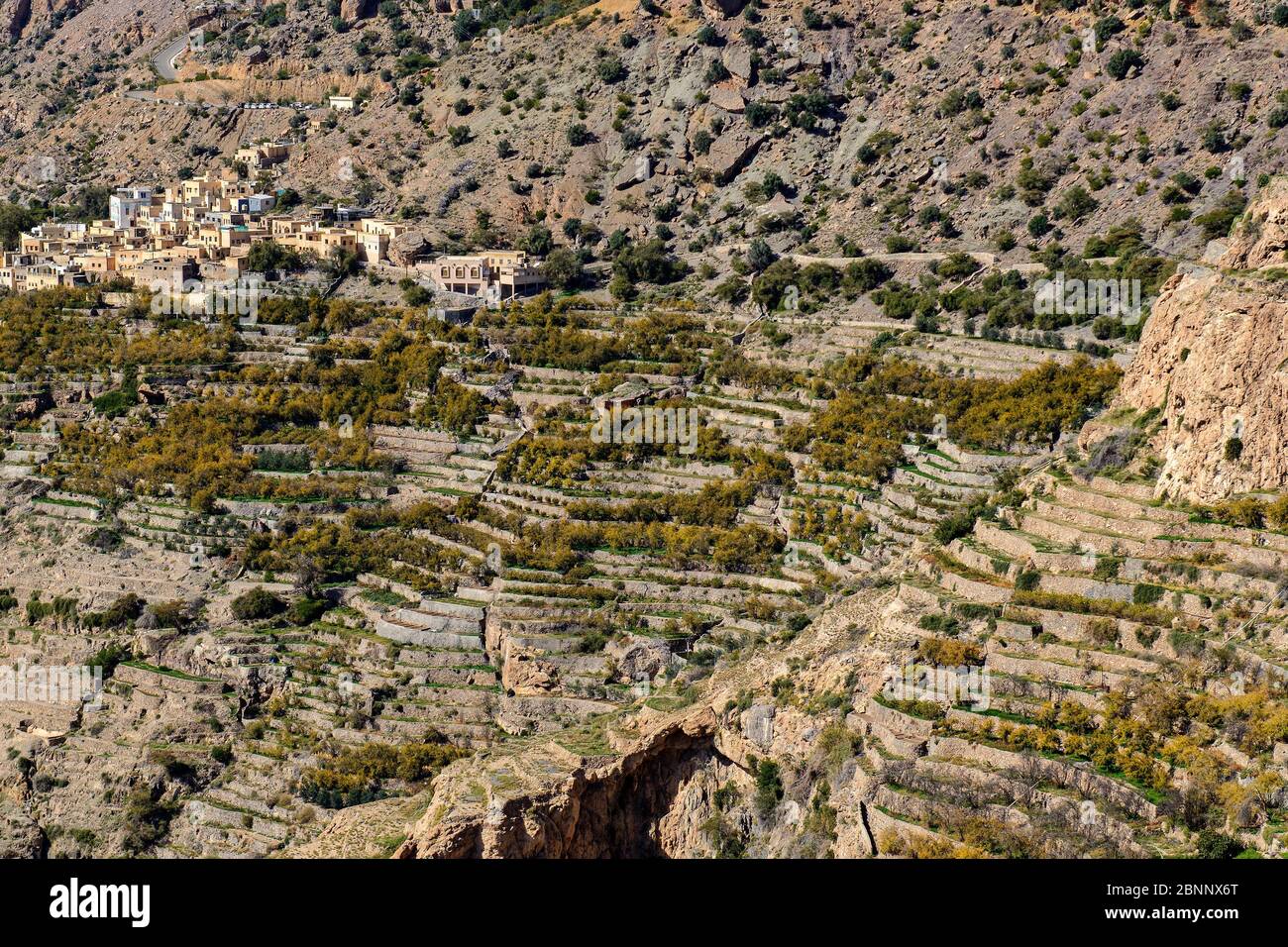 Sloping garden hi-res stock photography and images - Alamy