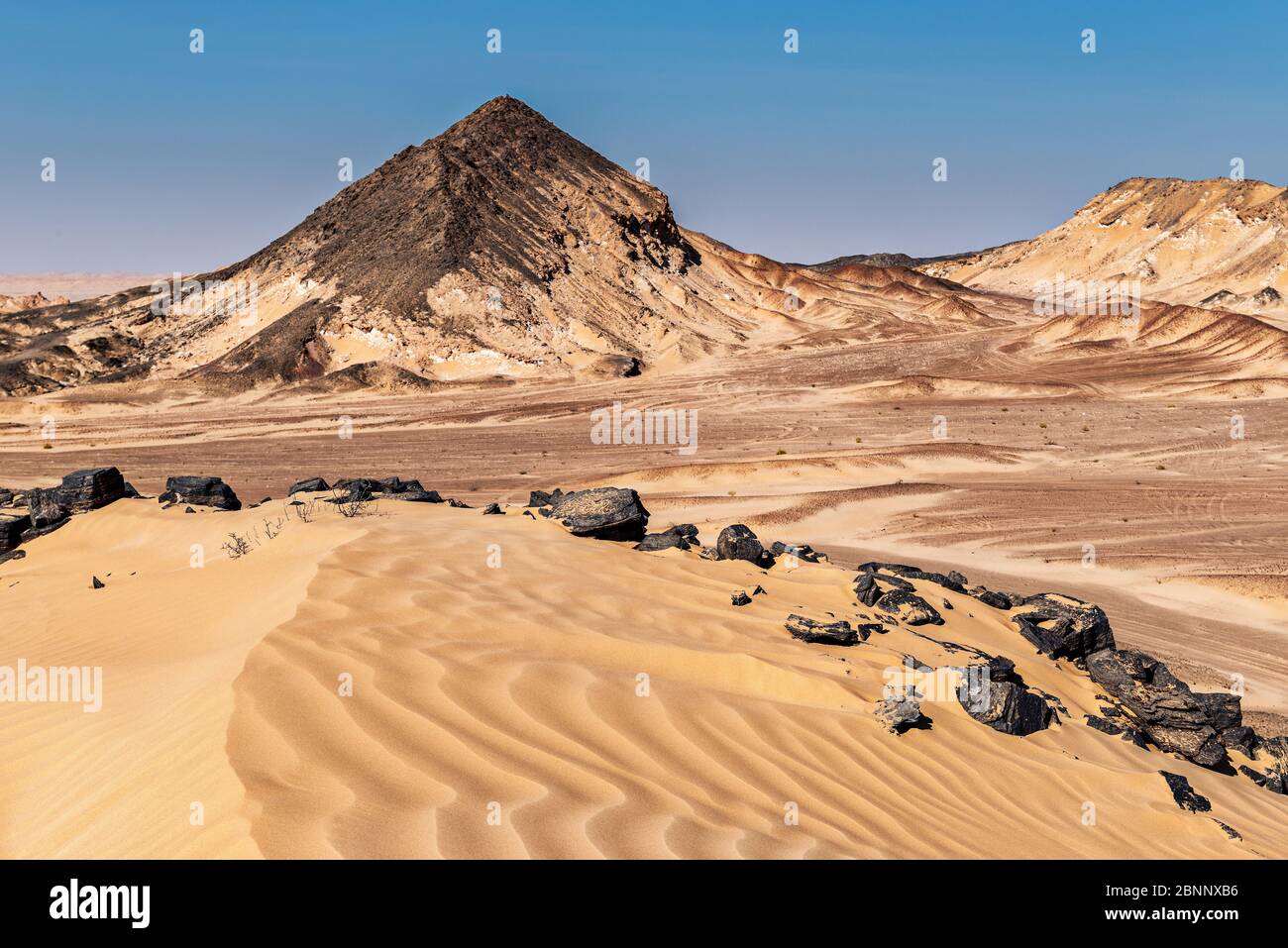 Al salt hi-res stock photography and images - Alamy