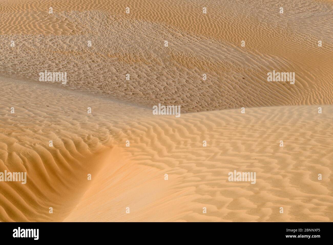 Arabian peninsula sand dunes hi-res stock photography and images - Alamy