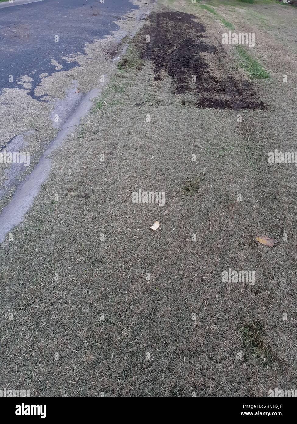 Destroyed lawn by a truck and very bad job of fixing its. Truck Tyre ...