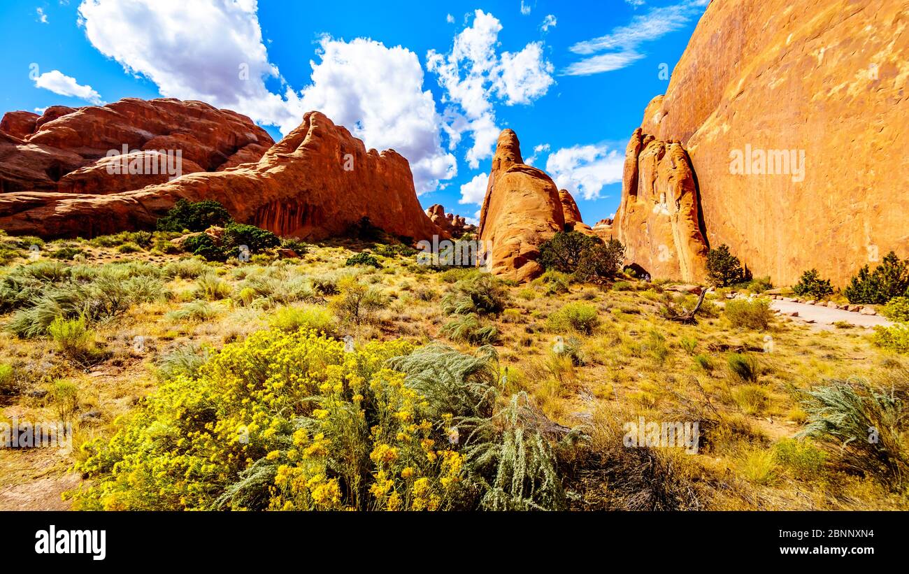 Sandstone Window High Resolution Stock Photography and Images - Alamy