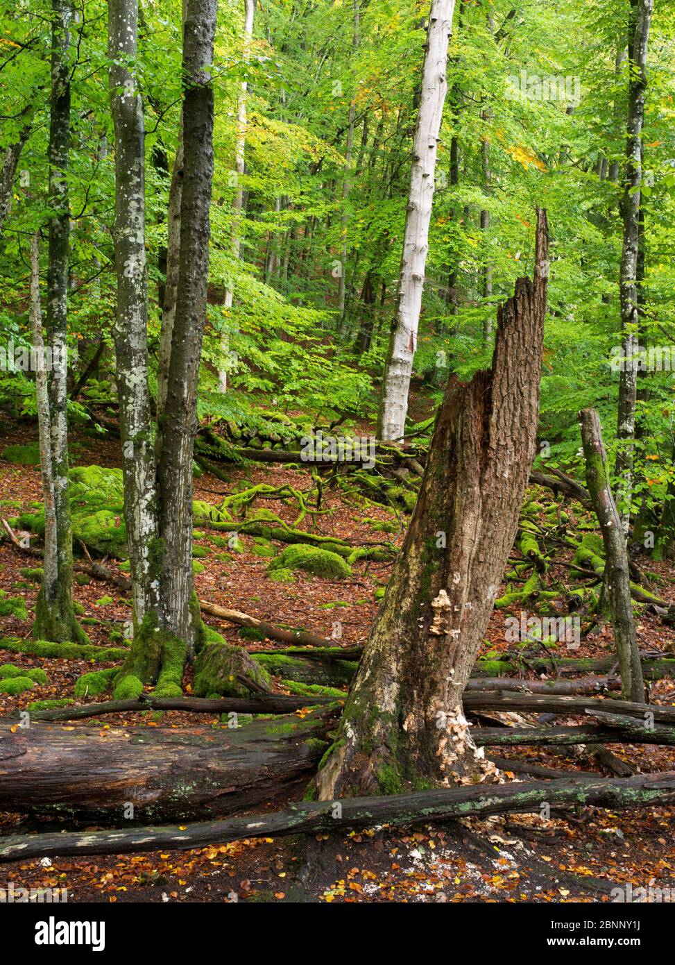 Soderasen sweden hi-res stock photography and images - Alamy