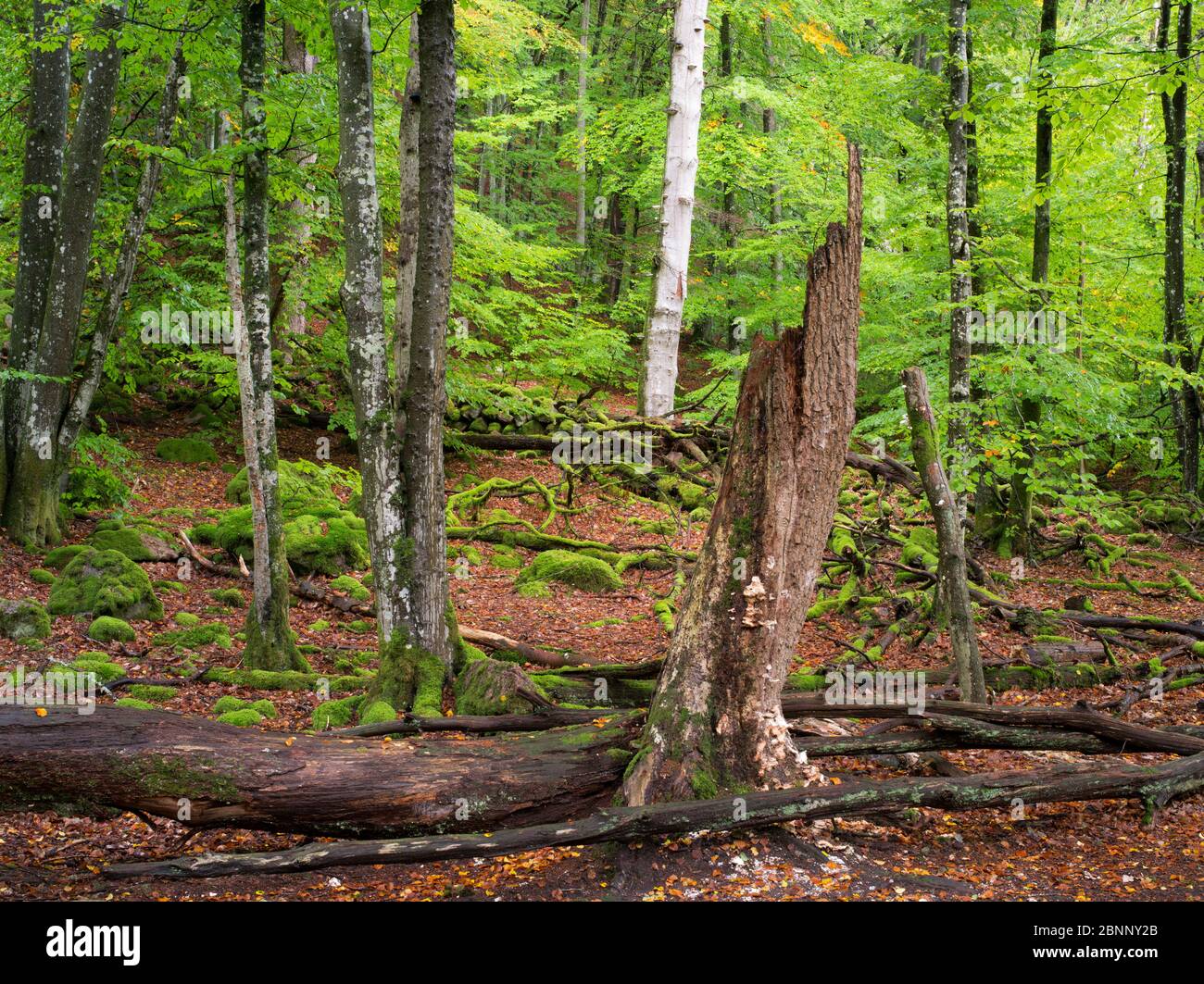 Soderasen sweden hi-res stock photography and images - Alamy