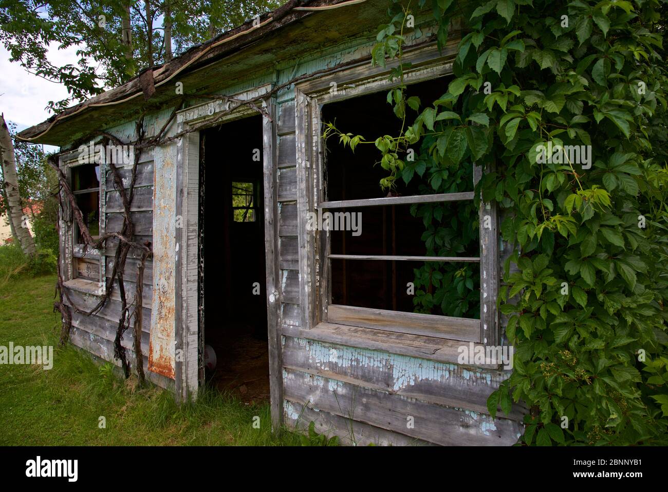 An abandoned wooden hut in the winery Stock Photo - Alamy