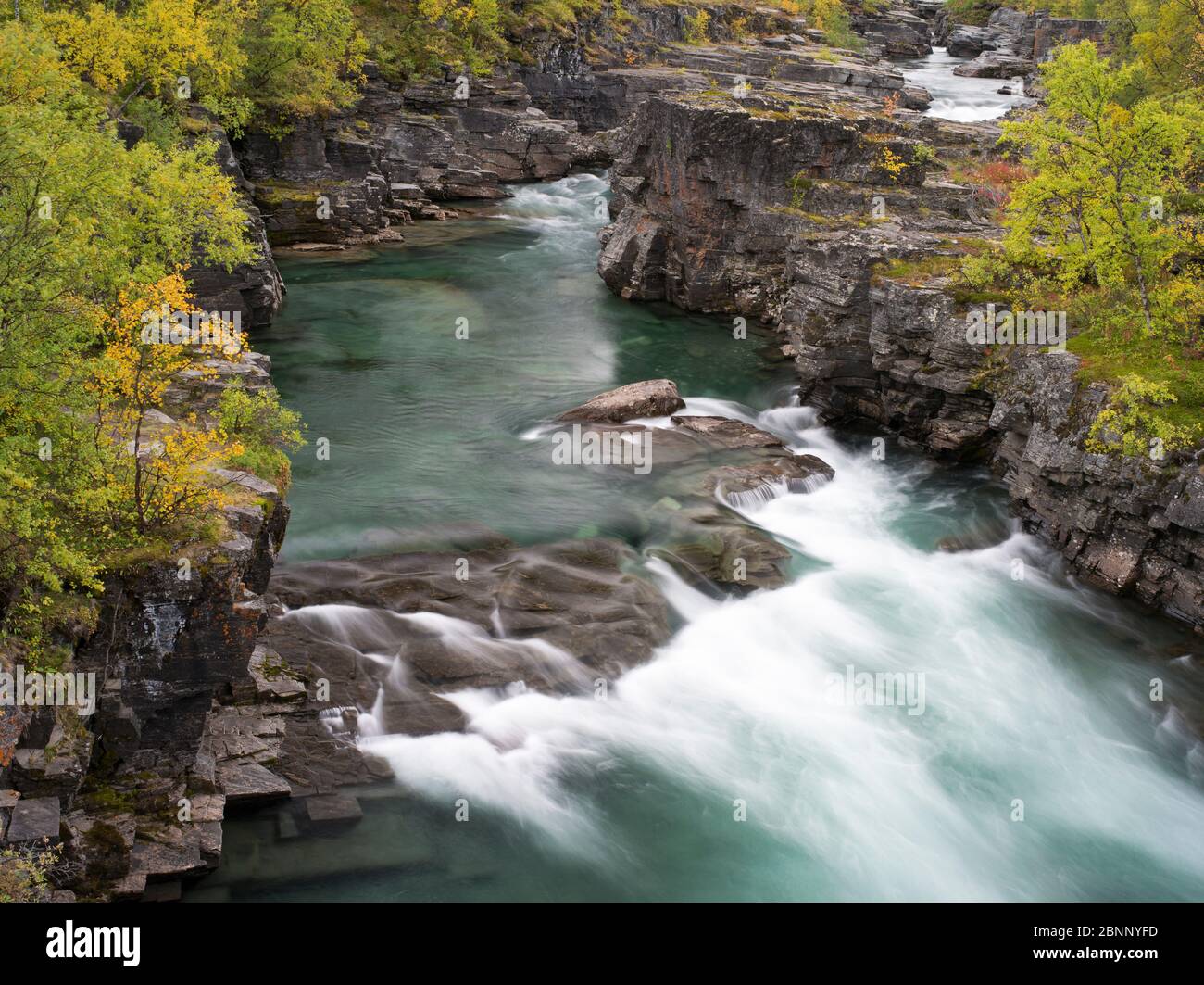 Abisco National Park, Laponia, Sweden Stock Photo - Alamy