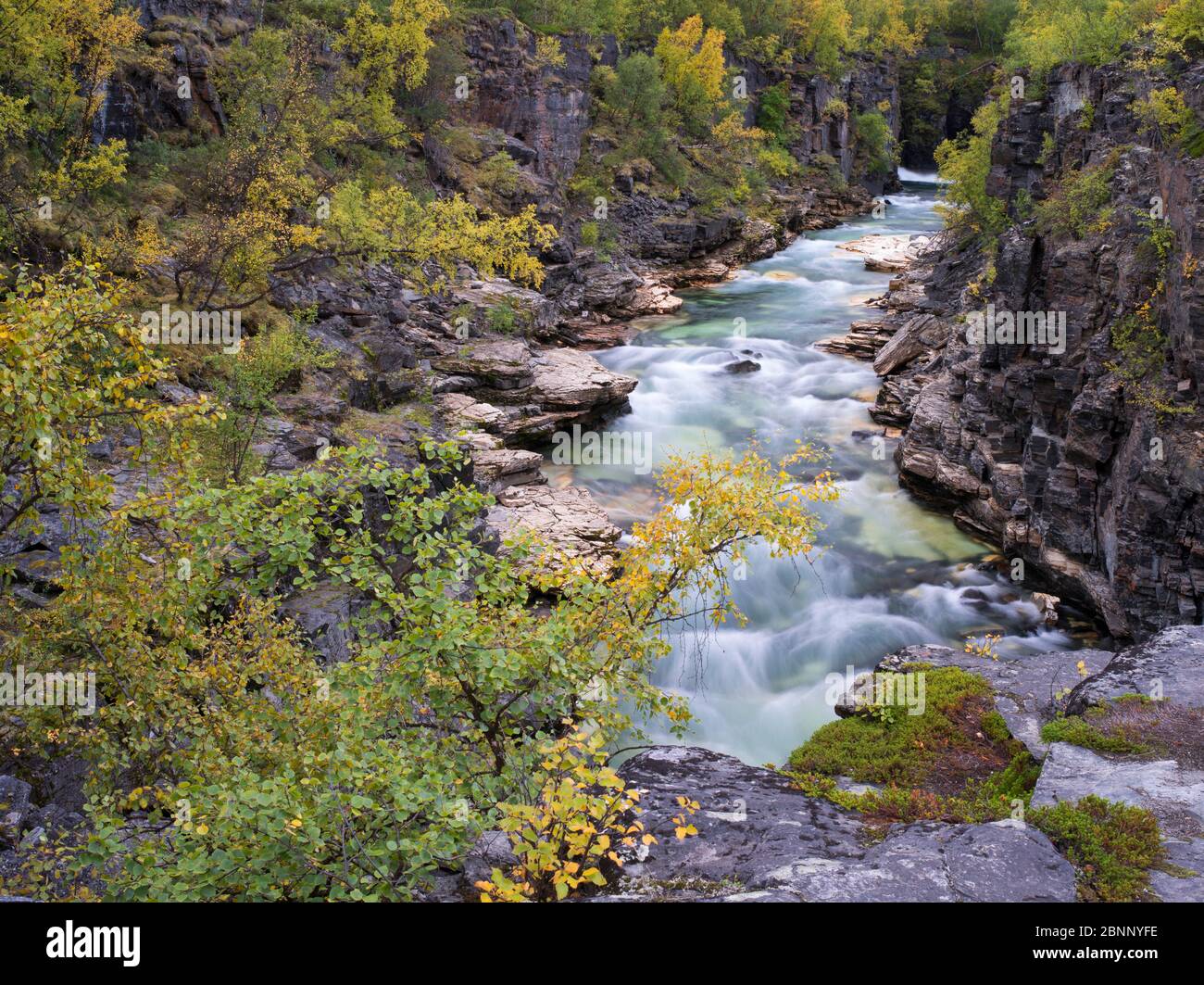 Abisco National Park, Laponia, Sweden Stock Photo - Alamy
