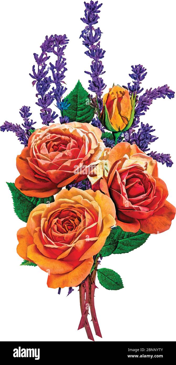 Lilac vector vectors Stock Vector Images - Alamy