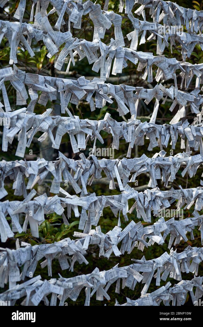 Omikuji, the fortune telling paper slips containing predictions, tying ...
