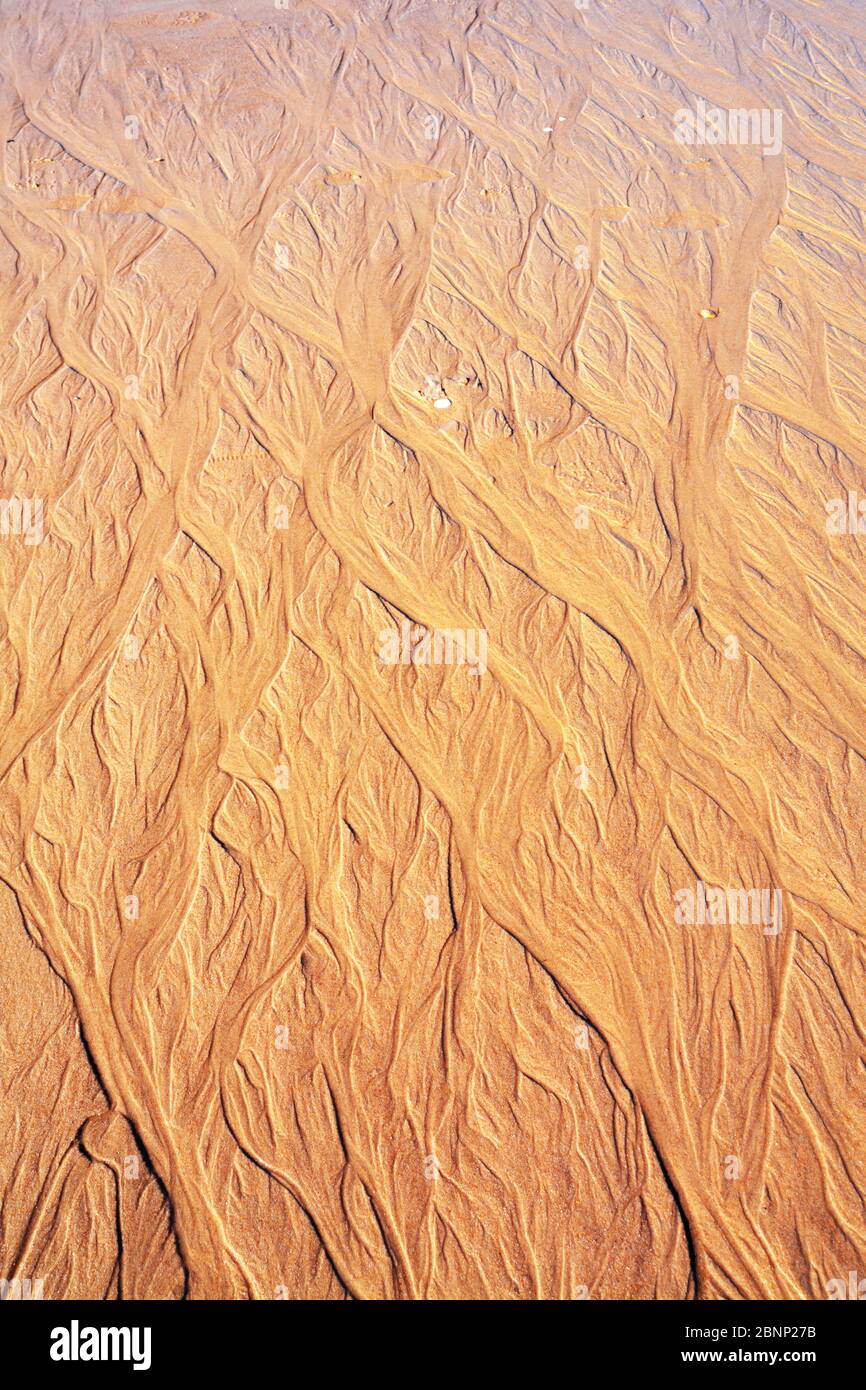Close up of sand form on the beach, Sylt, Germany Stock Photo - Alamy