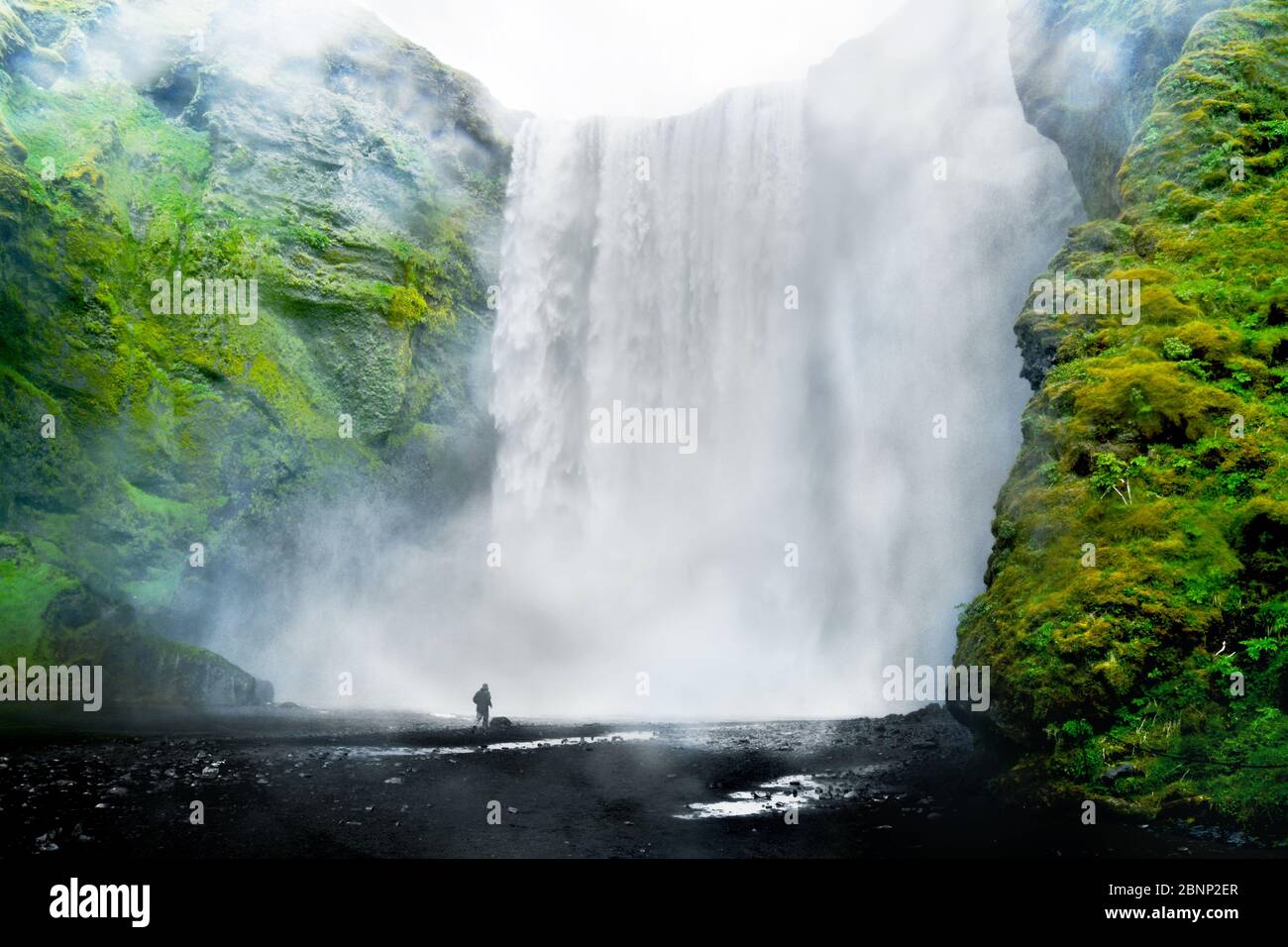 Waterfall frog hi-res stock photography and images - Alamy