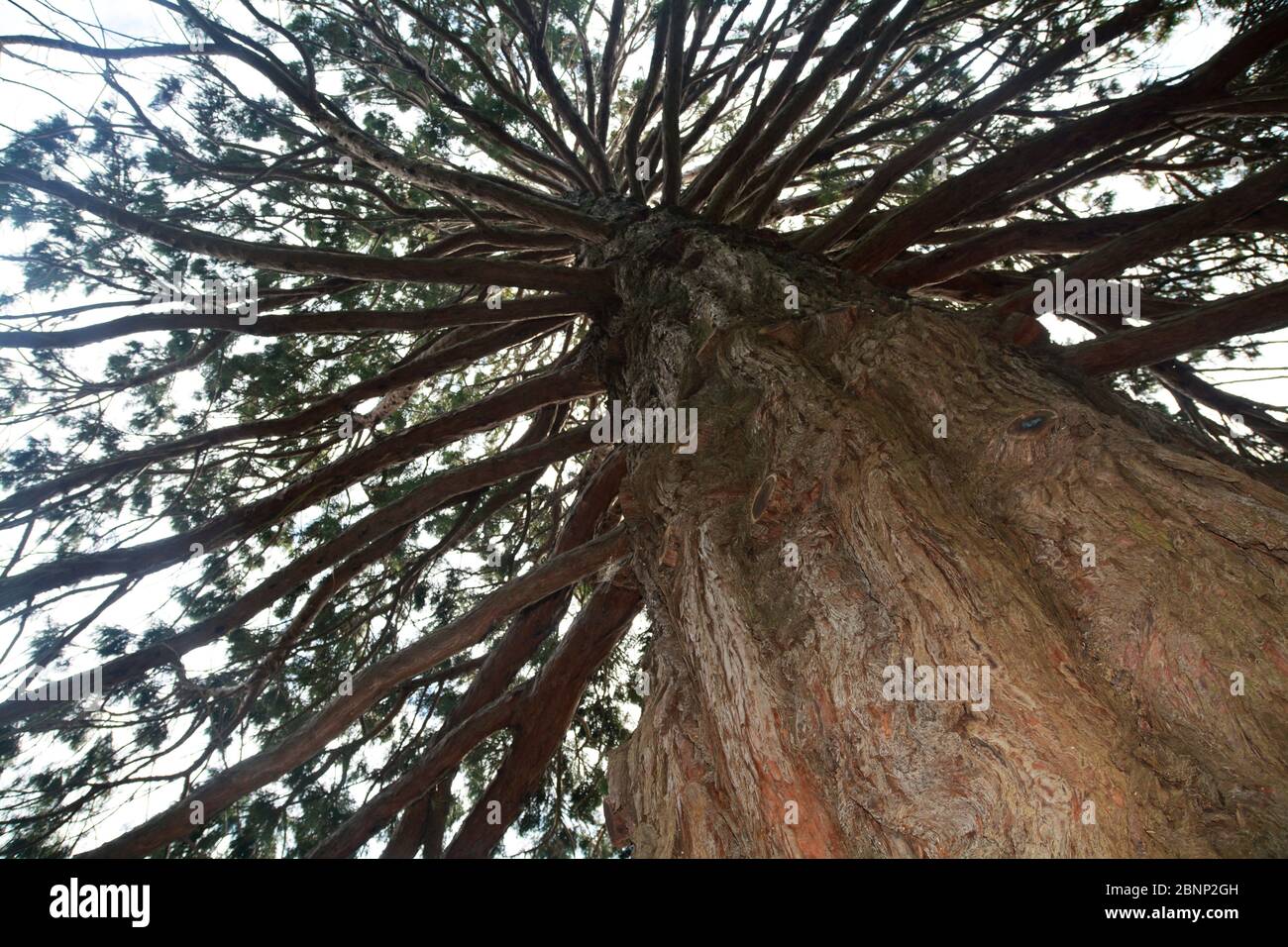 Vicotria hi-res stock photography and images - Alamy