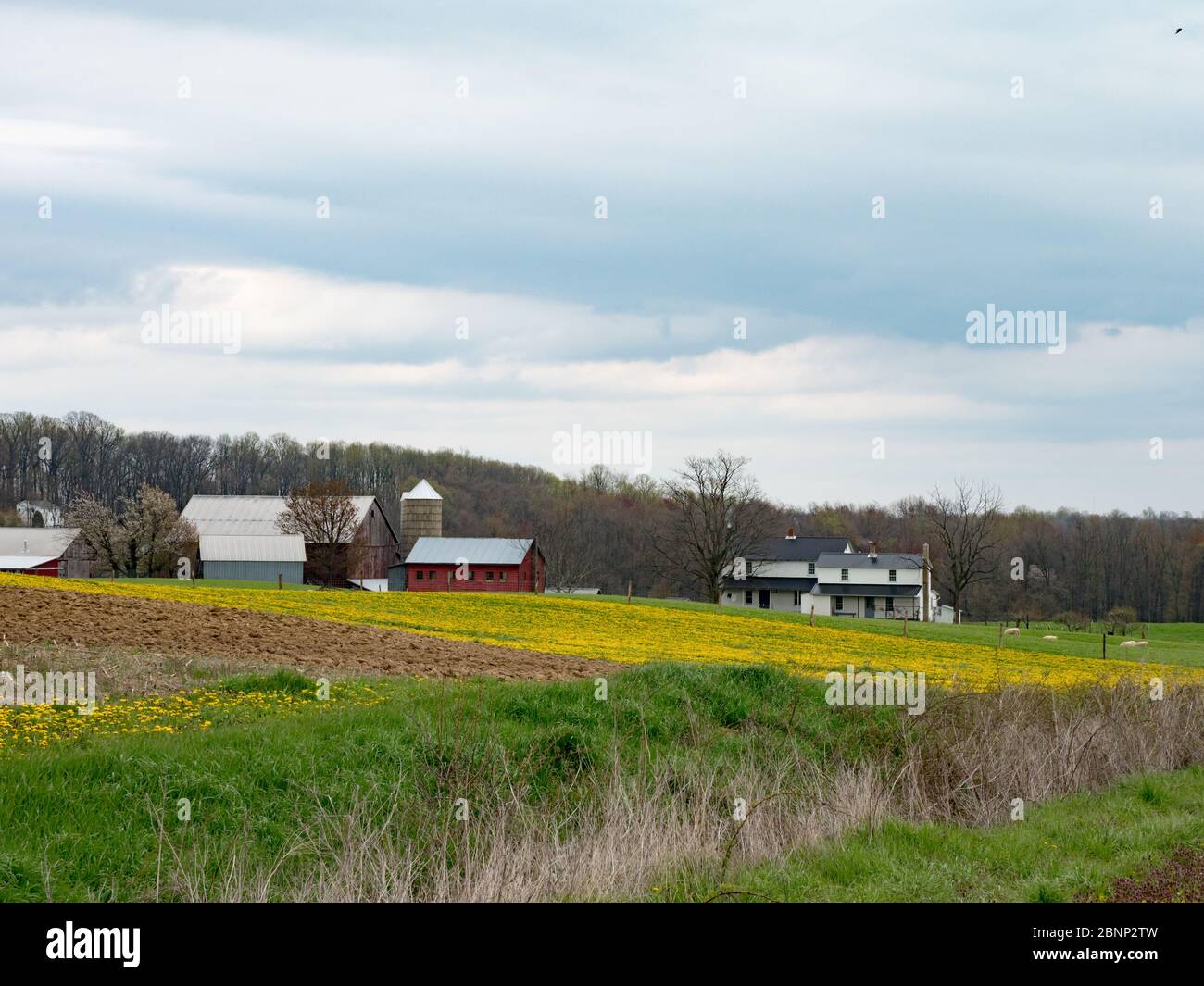 The rolling hills and Amish Communtiy of Holmes County, Ohio USA Stock ...