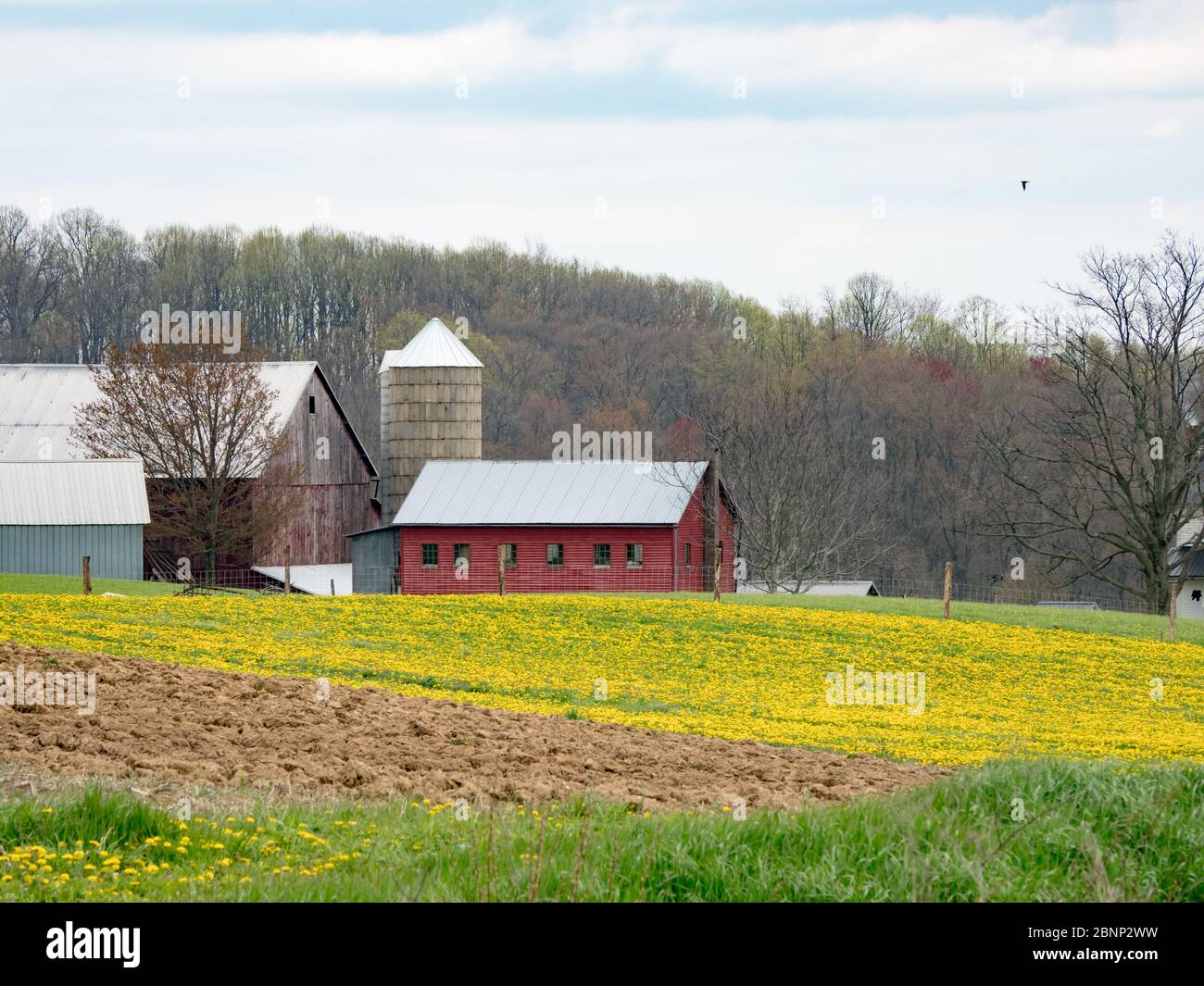 The rolling hills and Amish Communtiy of Holmes County, Ohio USA Stock ...