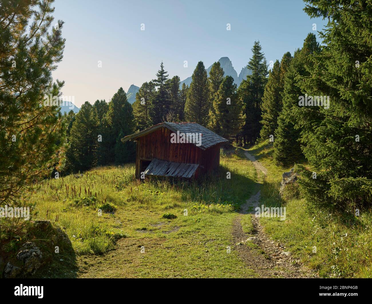 Dilapidated hut hi-res stock photography and images - Alamy