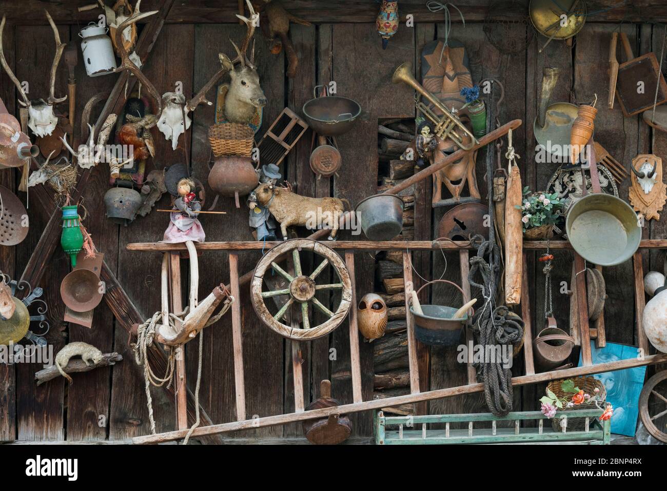 Collecting objects hi-res stock photography and images - Alamy