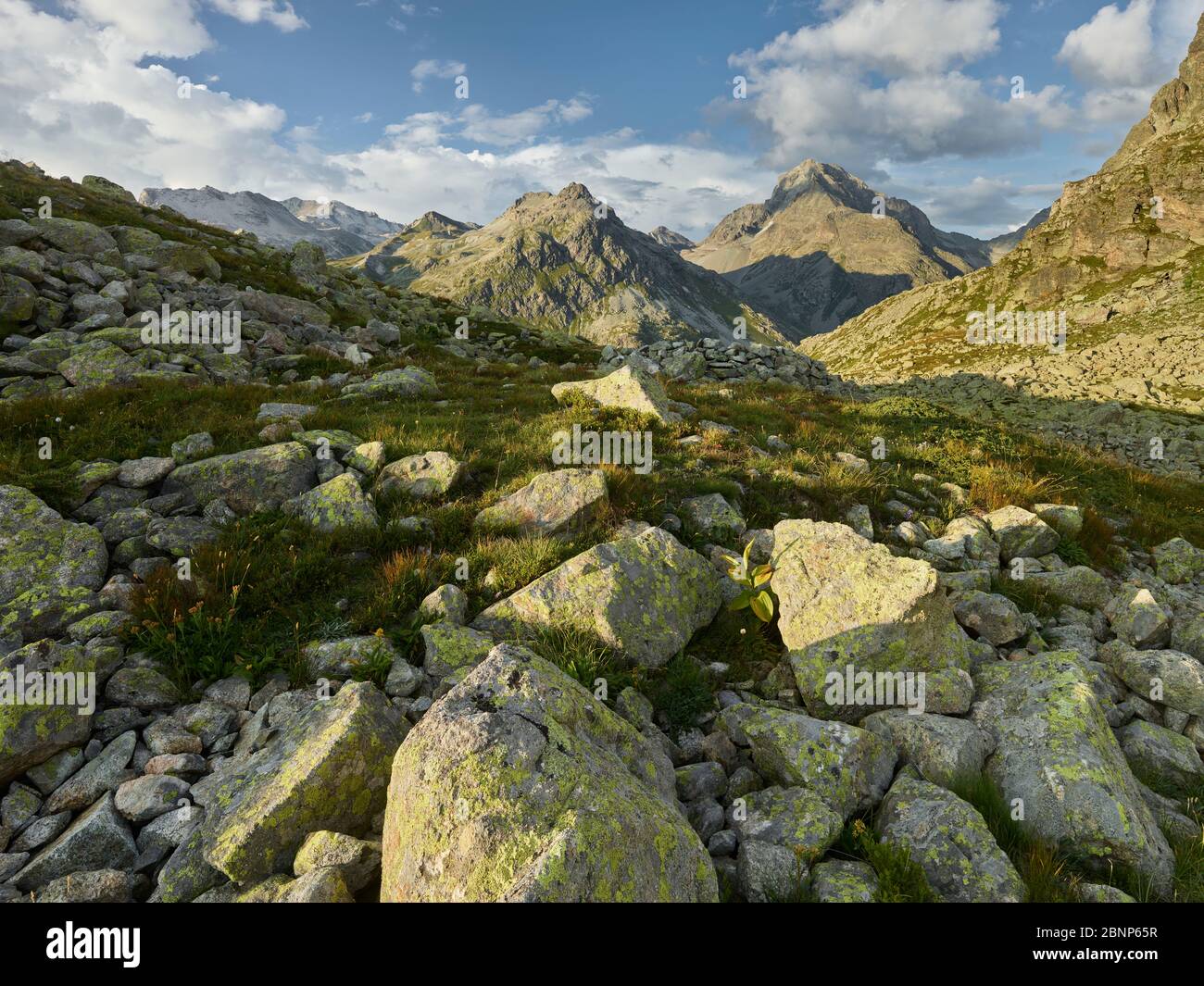 Julier Pass, Piz Julier, Graubünden, Switzerland Stock Photo - Alamy