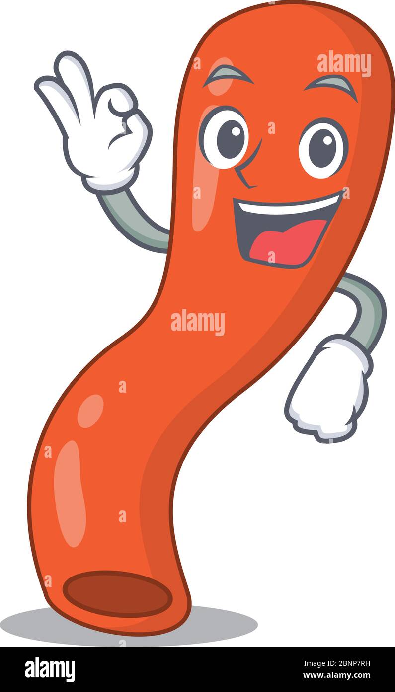 Appendix Showing Cut Out Stock Images & Pictures - Alamy