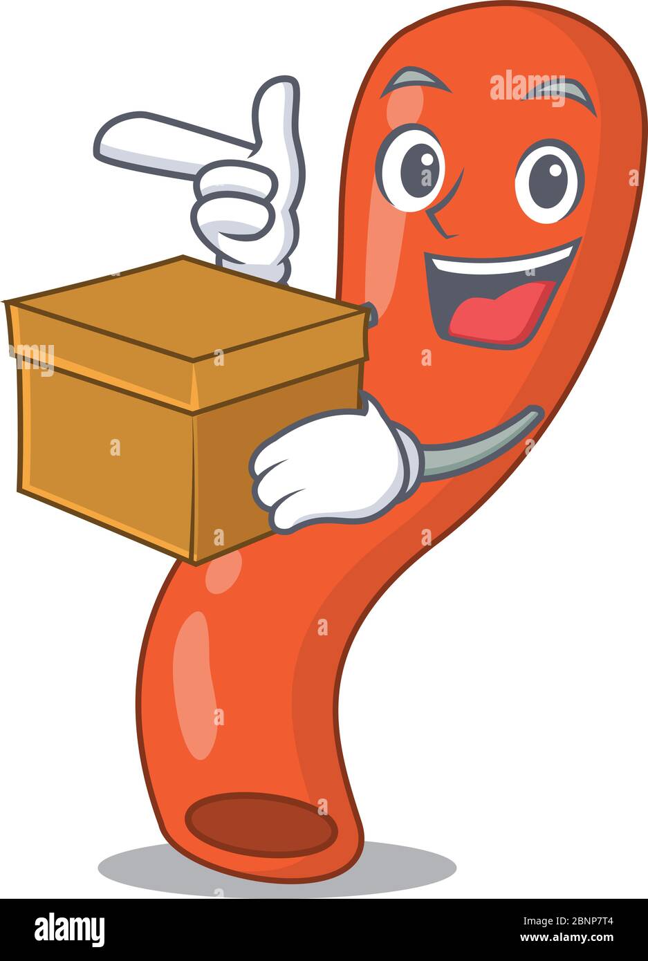 Vermiform process Stock Vector Images - Alamy