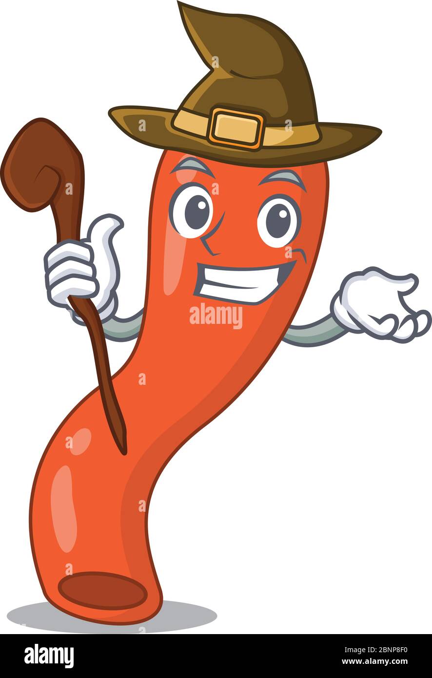 Appendix funny but sneaky witch cartoon character design Stock Vector ...