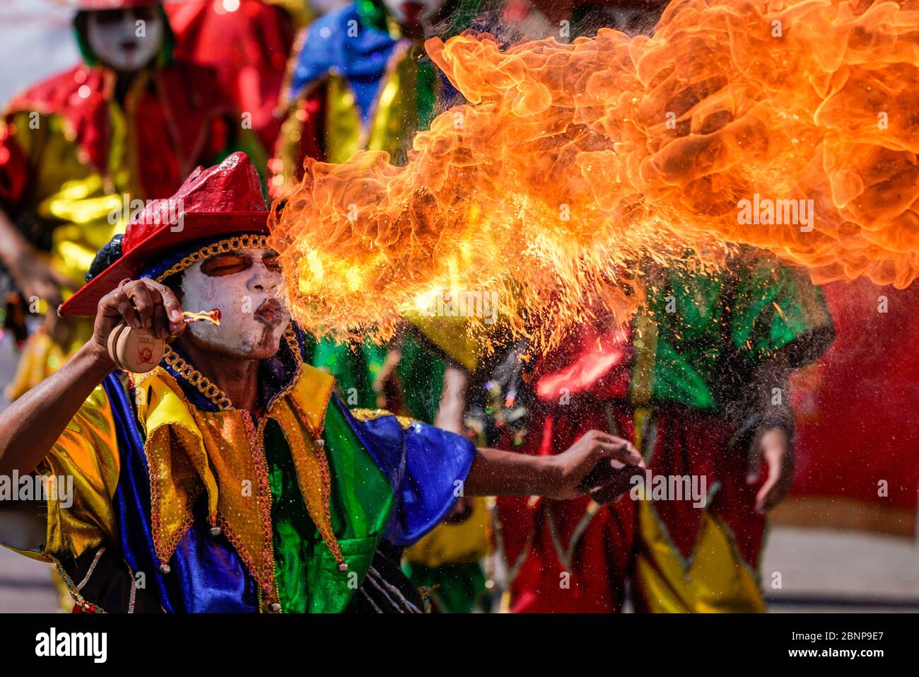 Tradition tell us that the Harlequin Devils were born in the colony as ...
