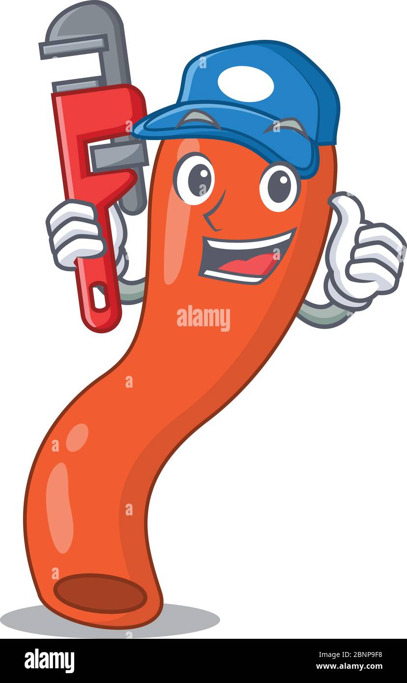 cartoon character design of appendix as a Plumber with tool Stock ...