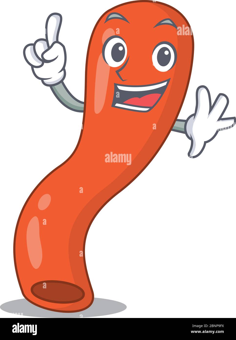 Appendix one Cut Out Stock Images & Pictures - Alamy