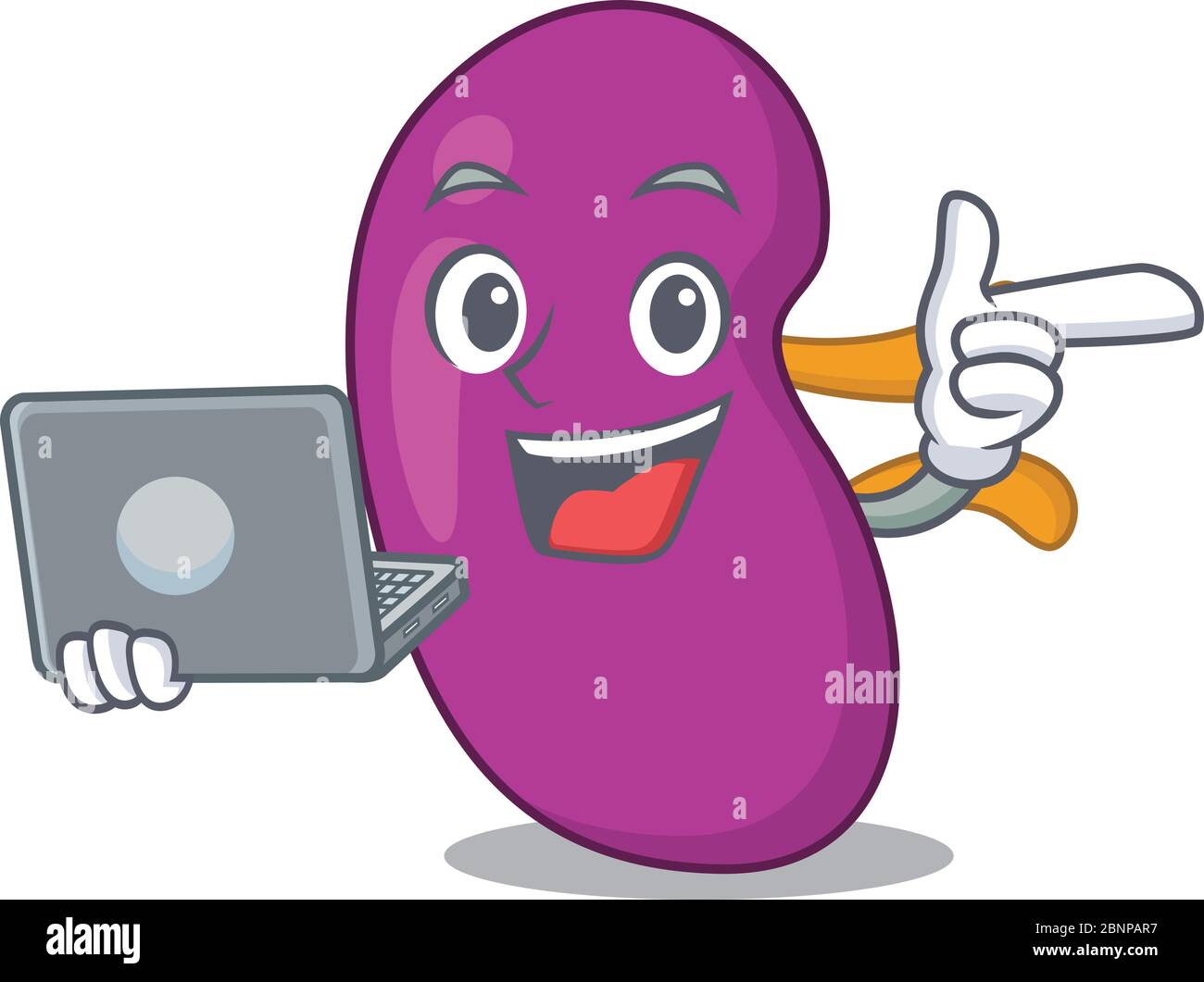 Smart cartoon character of kidney studying at home with a laptop Stock ...