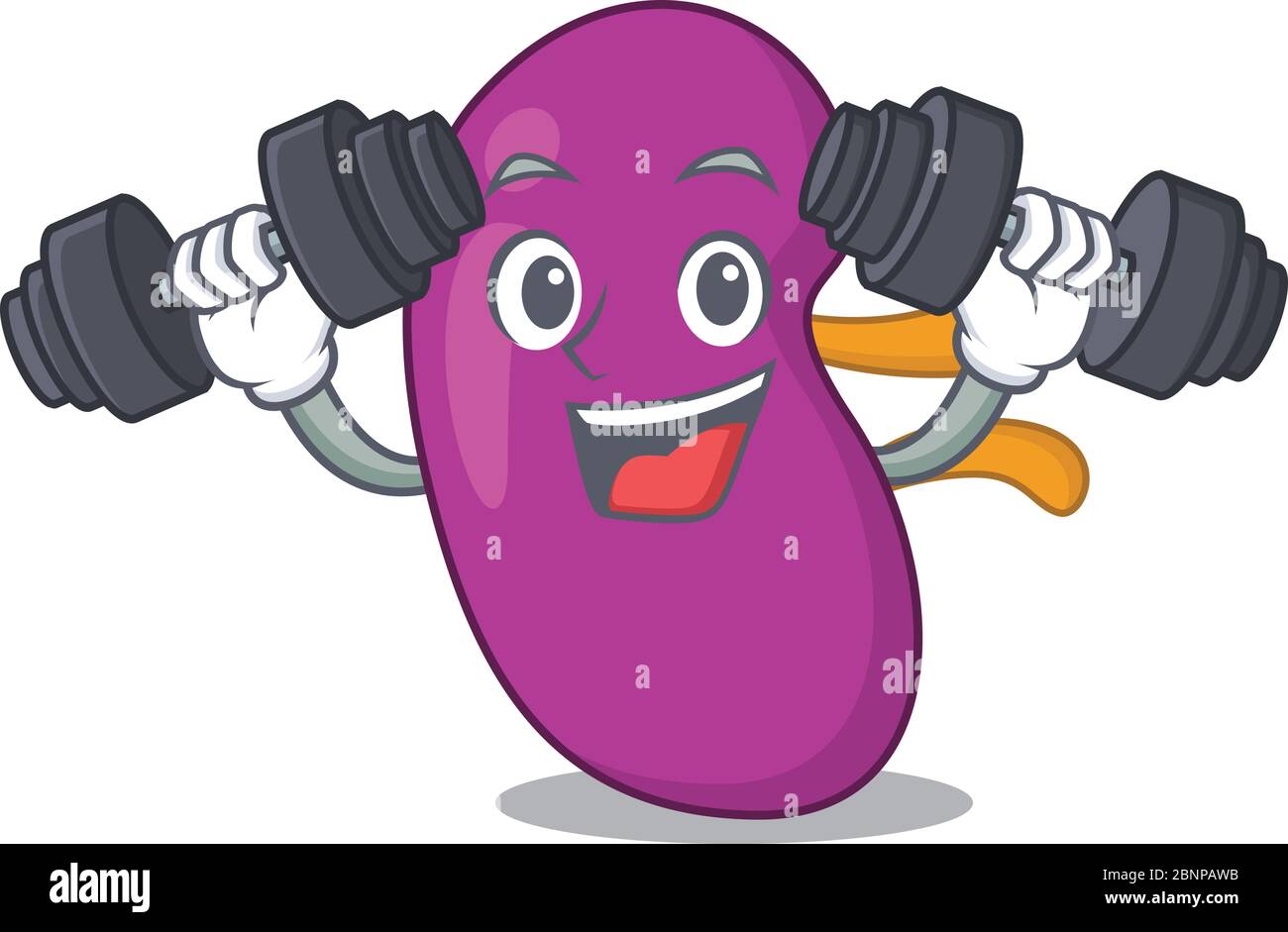 Human kidney cartoon strong Cut Out Stock Images & Pictures - Alamy