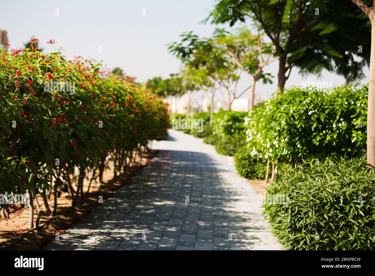 Brick walkway through park hi-res stock photography and images - Alamy
