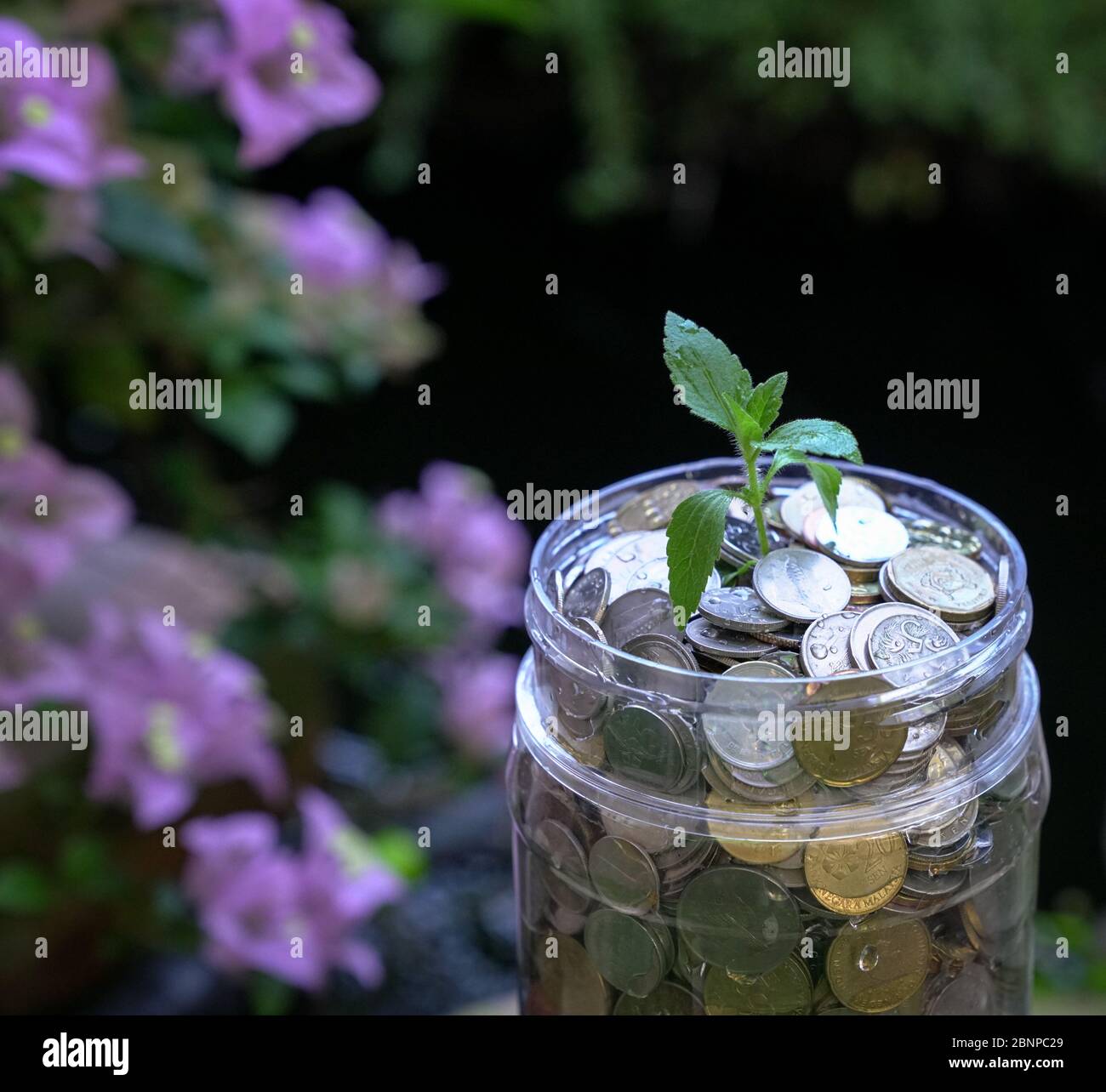 Savings pot hi-res stock photography and images - Alamy